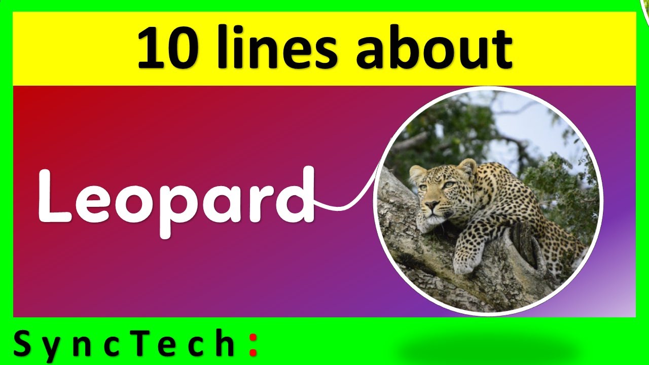 10 lines on leopard in English | Few lines about Leopard - YouTube