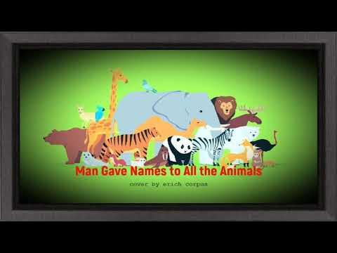 Man Gave Names to All the Animals (Bob Dylan) cover - YouTube