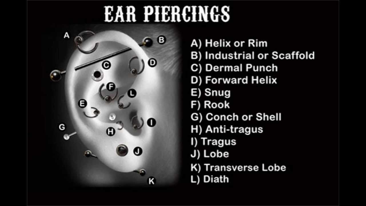  ASMR HD The Vault 1 Virtual Ear Piercing Earlobes YouTube