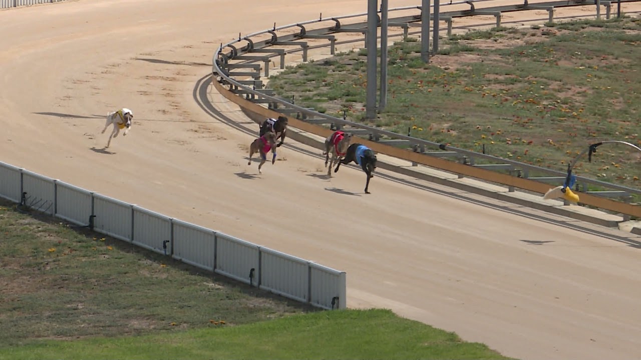 Murray-Bridge-19032021-Race-4 - YouTube