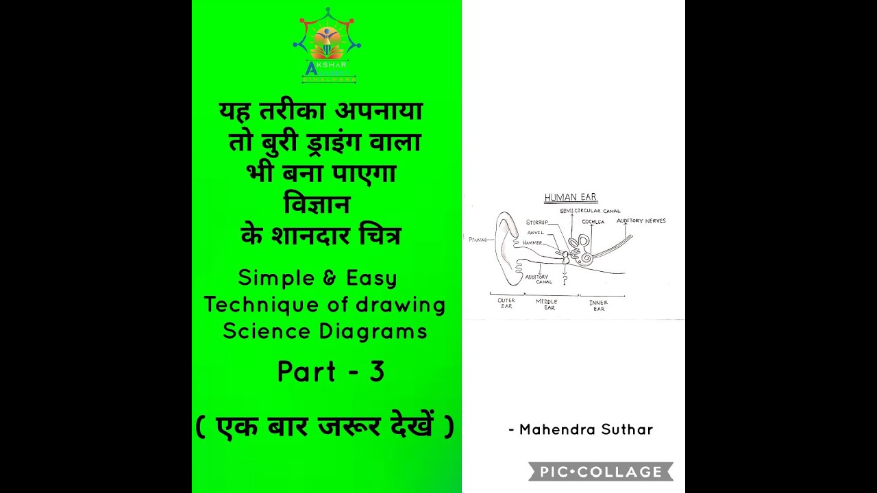 Science Diagram Series : Part 3 - Easiest way to draw Human Ear - YouTube