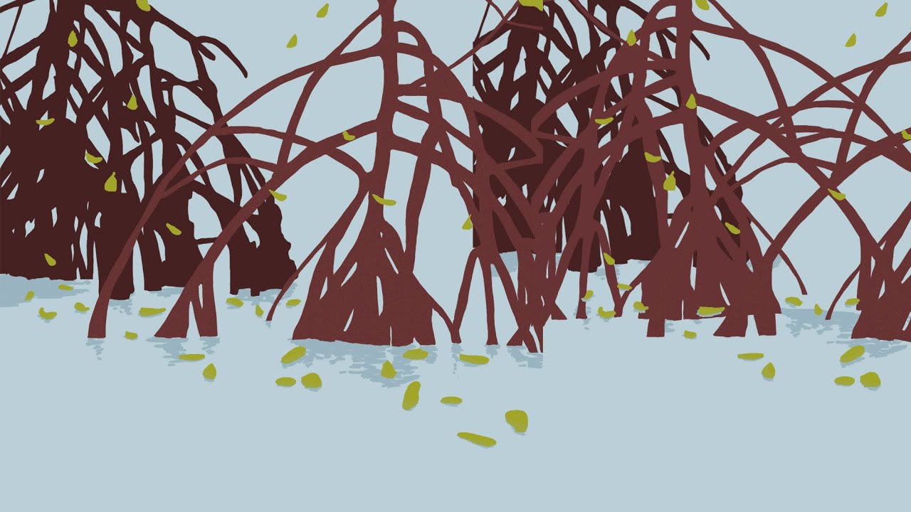 Green vs Grey Infrastructure: Investing in a Water Secure Future - YouTube