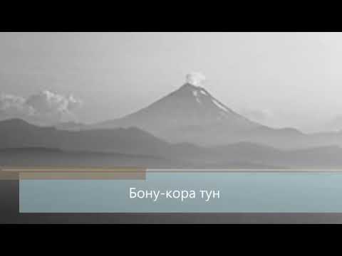 Бону кора тун