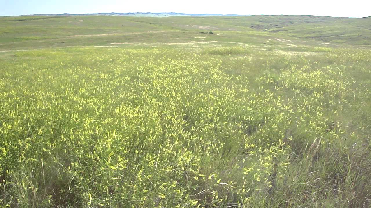 A Few Moments on Calhoun Hill - YouTube