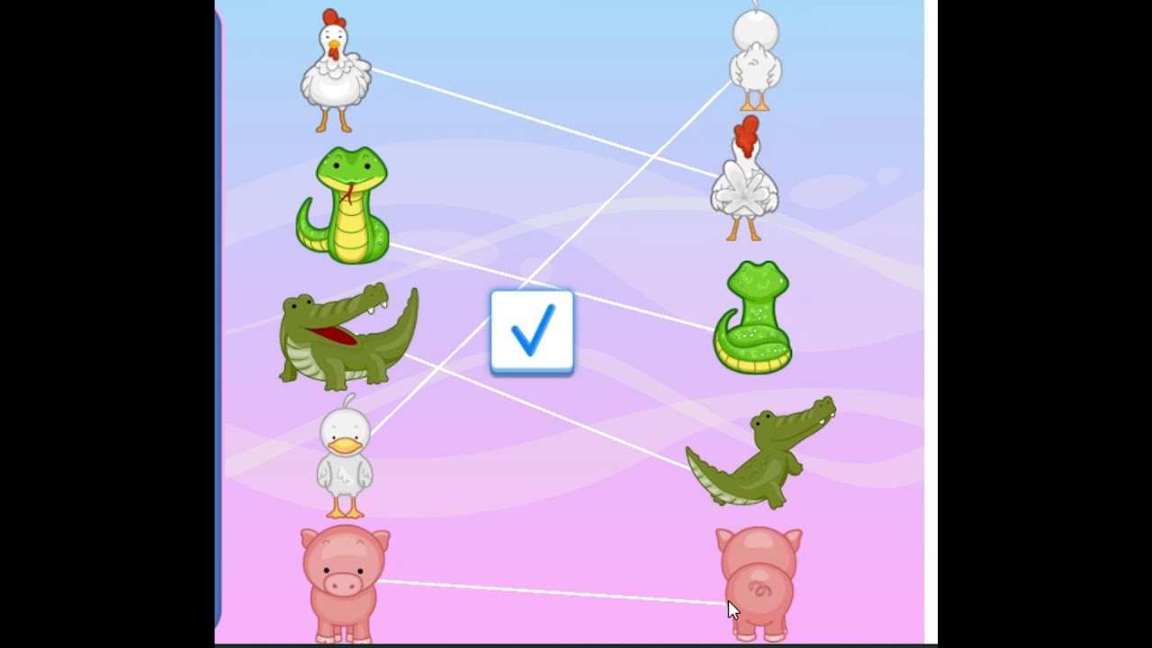 Apprendre les animaux en francais - YouTube