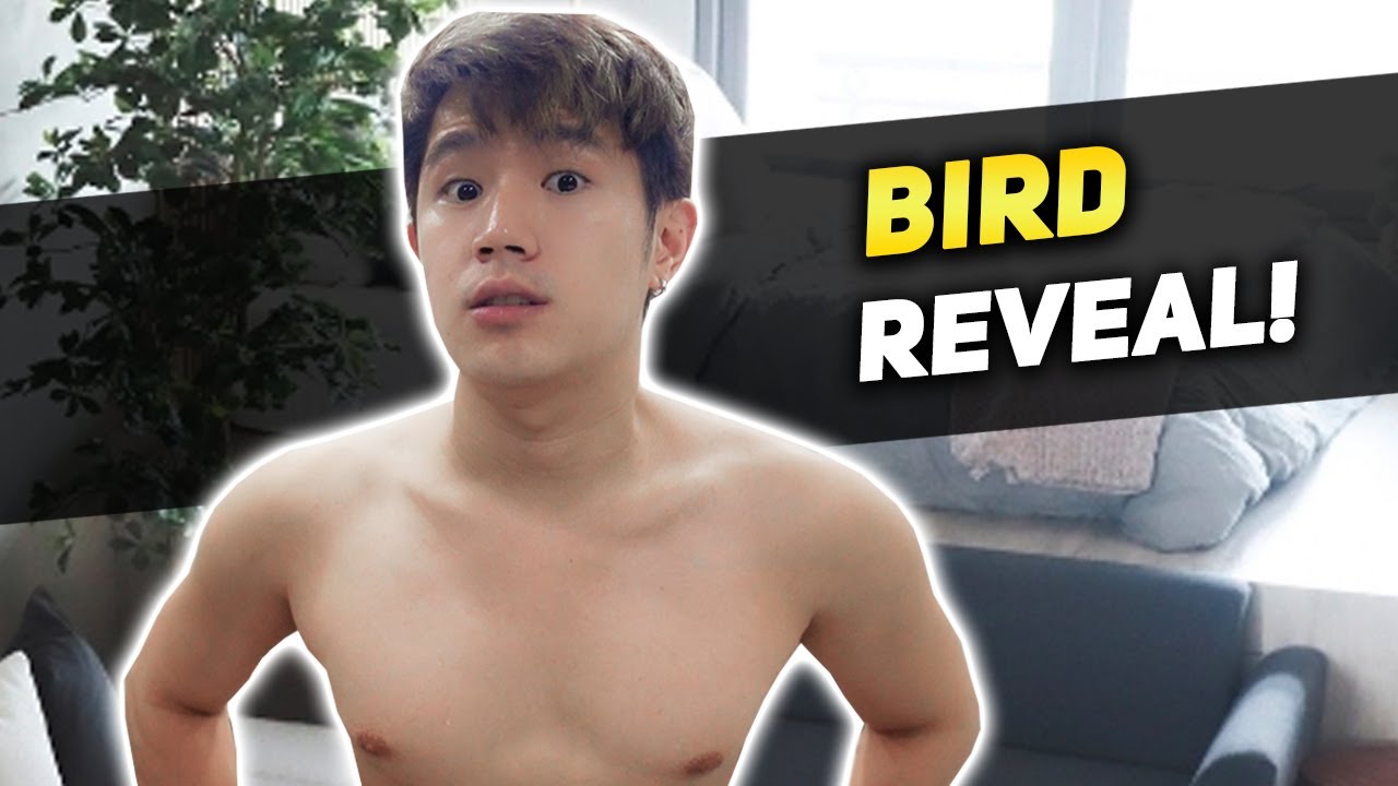 Ang Bird Ko - YouTube