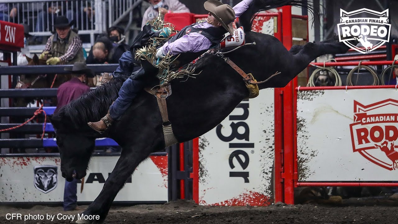 CFR 2021 - Bareback Champion Clint Laye - YouTube