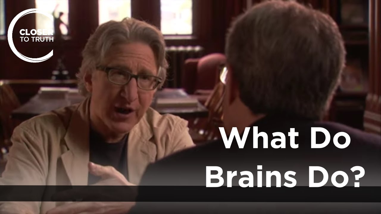 Ned Block- What Do Brains Do? - YouTube