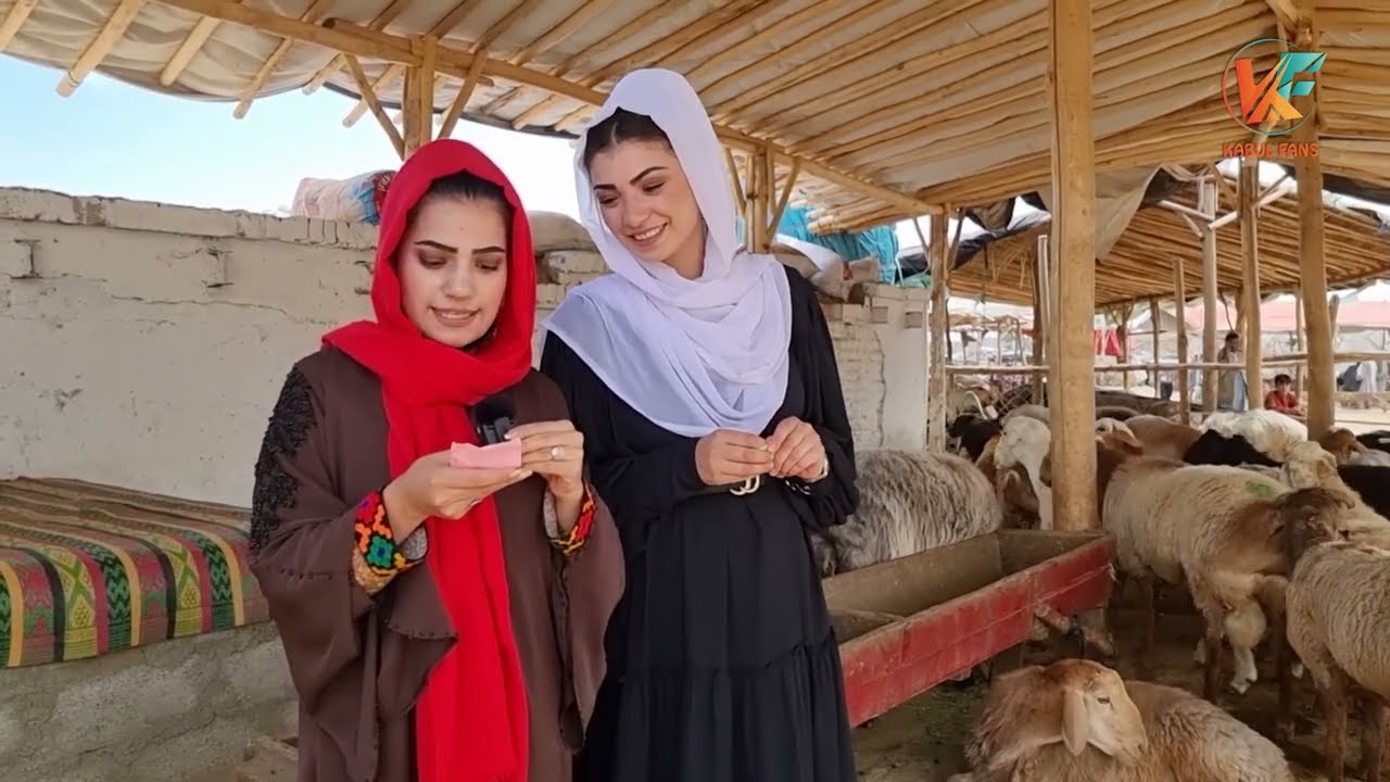 کمک از طرف دو هموطن ما از آسترالیا و کانادا برای نیازمندان Youtube