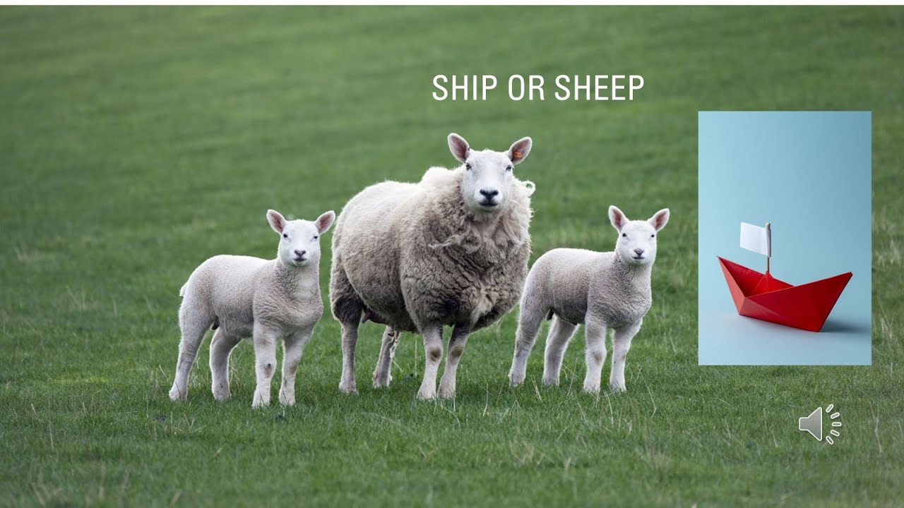 Ship or Sheep II English Pronunciation II SSC Basic English Program ...