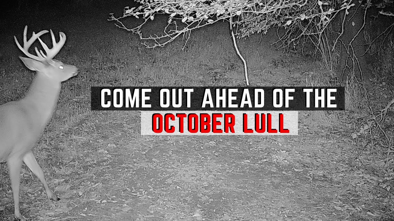 The October Lull - Why It Happens And Why To Remain Patient - YouTube