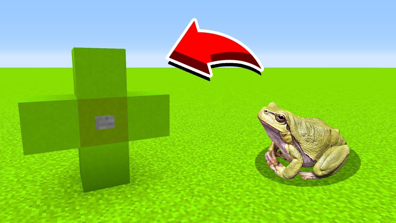 How To Make Spawn FROGS In Minecaft Pocket Edition MCPE YouTube how-to-make-spawn-frogs-in-minecaft-pocket-edition-mcpe-youtube