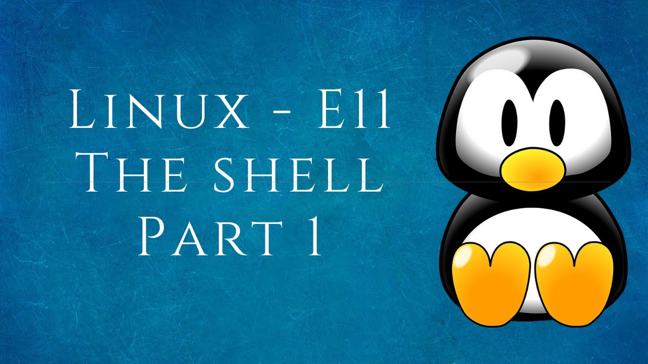 Linux-E11 The Shell Part 1 | Beginner version | wild cards, redirection ...