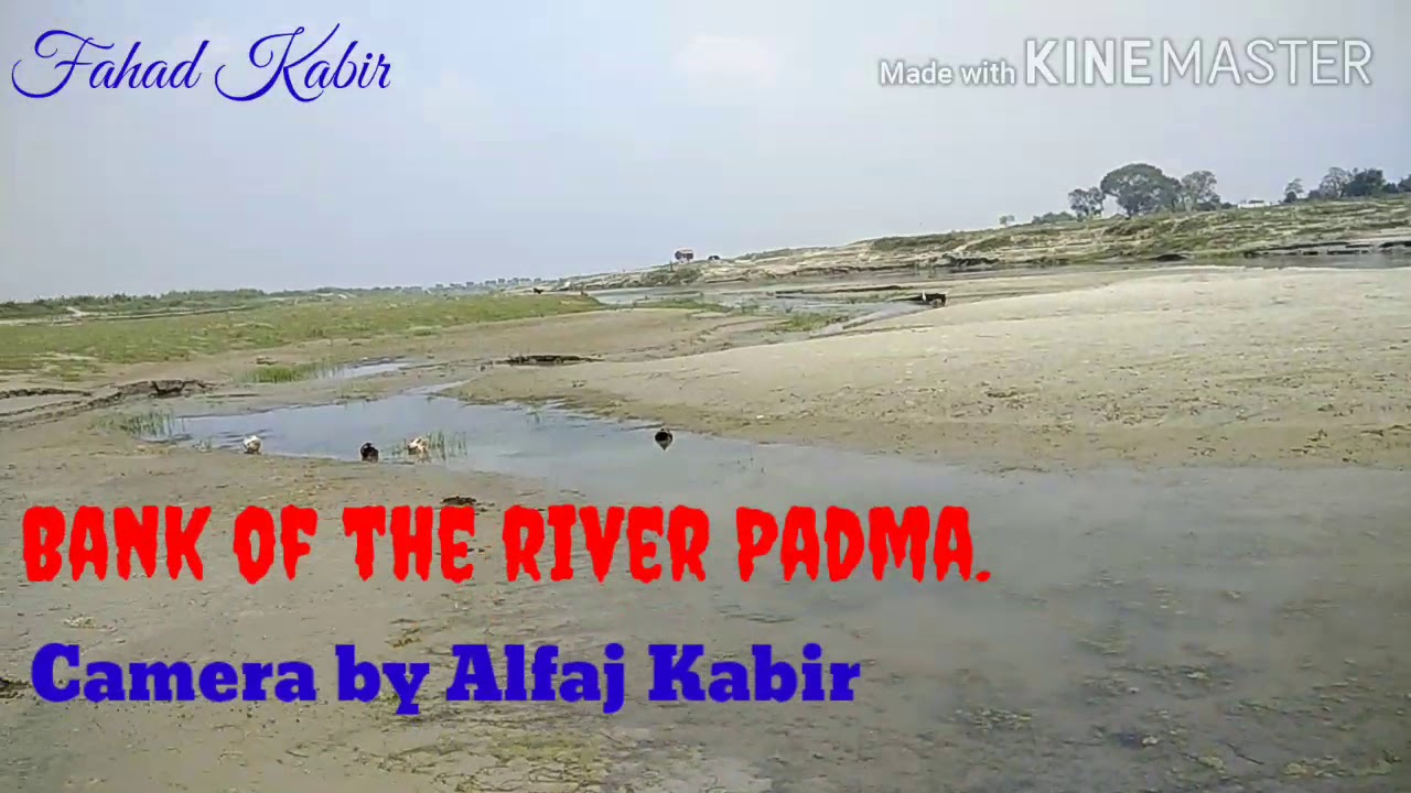 পদ্মা-নদীর ভারতীয় চর || Bank of the river Padma, Indian Side ...