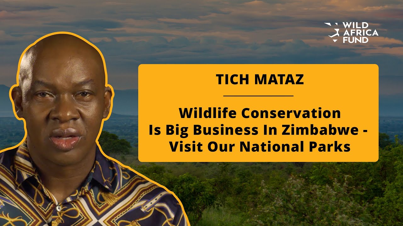Tich Mataz | Wildlife Conservation Is Big Business in Zimbabwe - Visit ...