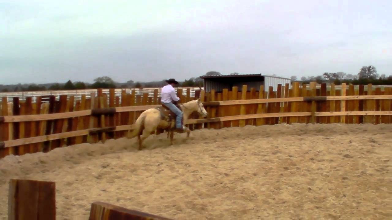 appy mare (texas) 2 - YouTube