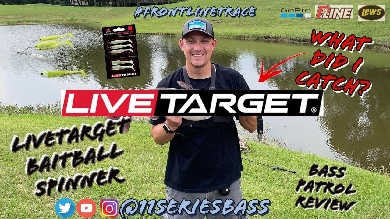I Caught a Pond Monster with The LiveTarget BaitBall Spinner Rig? What ...