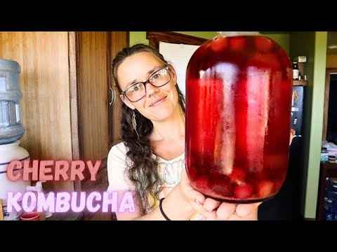 CHERRY KOMBUCHA | How to Brew and Ferment Kombucha | Hamakua Homestead - YouTube