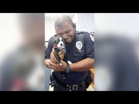 Cop Responding To a Call at an Animal Shelter Walks Out With A New Pet ...