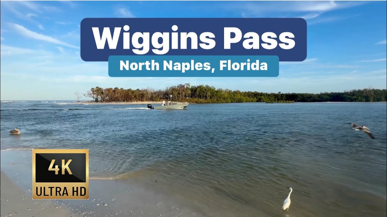 A Spectacular Friday Morning at Wiggins Pass in North Naples, Florida ...