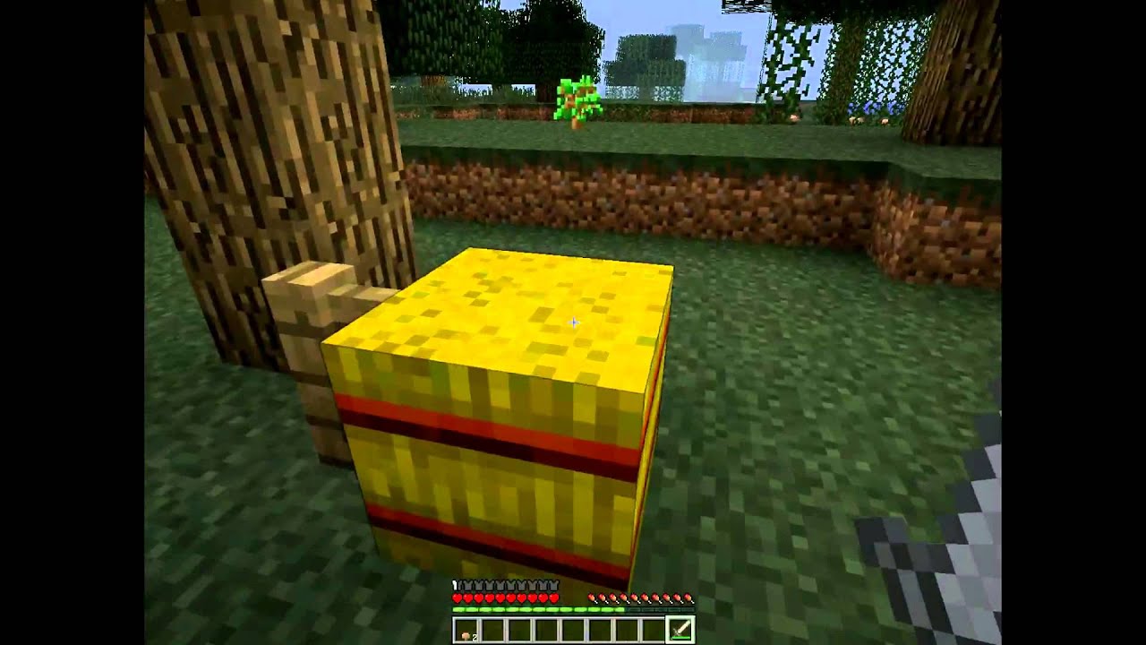 Film minecraft - O lume noua - YouTube