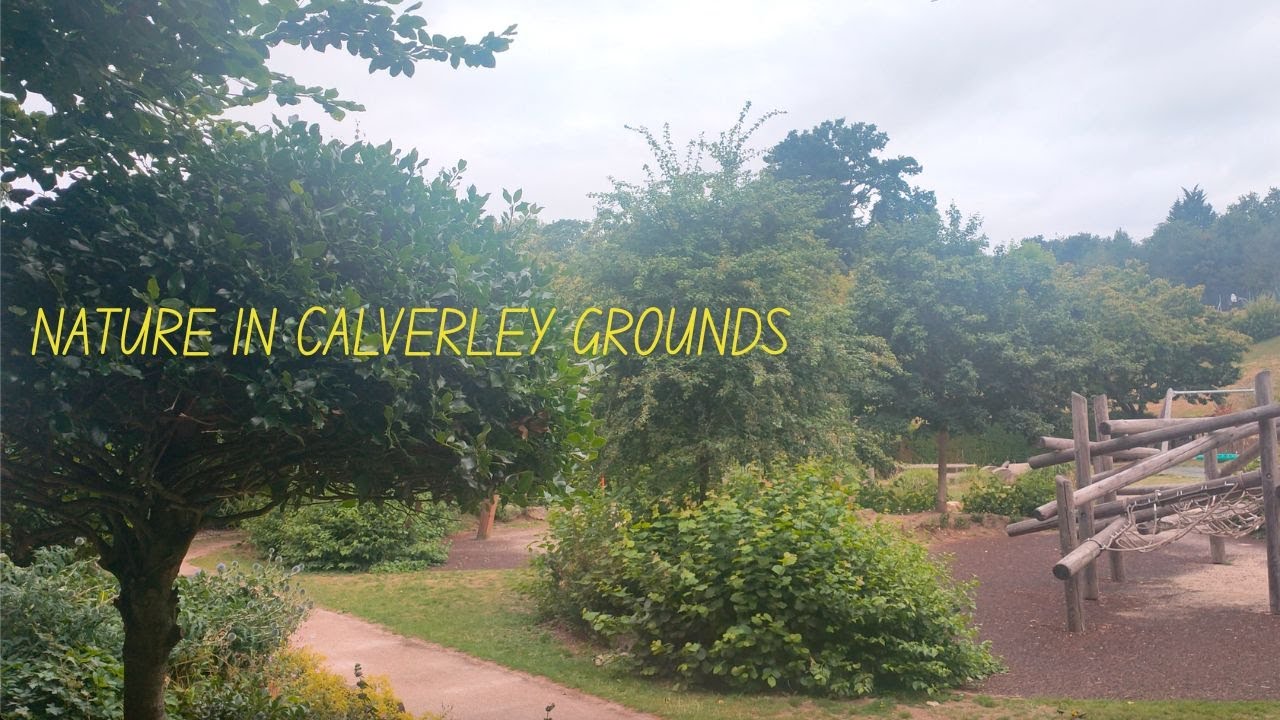 Appreciating nature in Calverley Grounds - Tunbridge Wells - YouTube