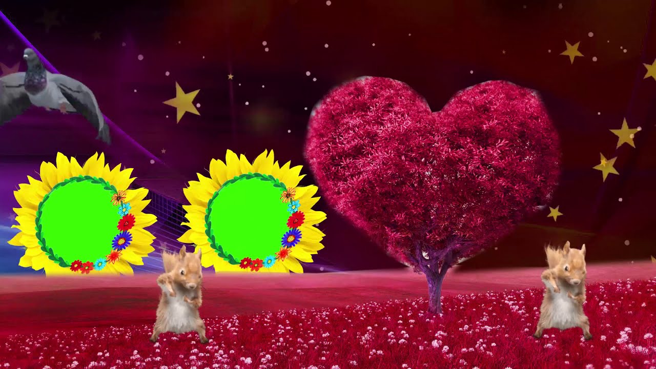 Wedding Green Screen Video Background 1 || Shadi Hd Photo Frame 3D ...