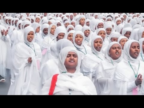 ሀያል ሀያል ሰዳዴ ሳጥናኤል የቅዱስ  ሚካኤል  መዝሙር  kidus mikael mezmur | ethiopian orthodox mezmur