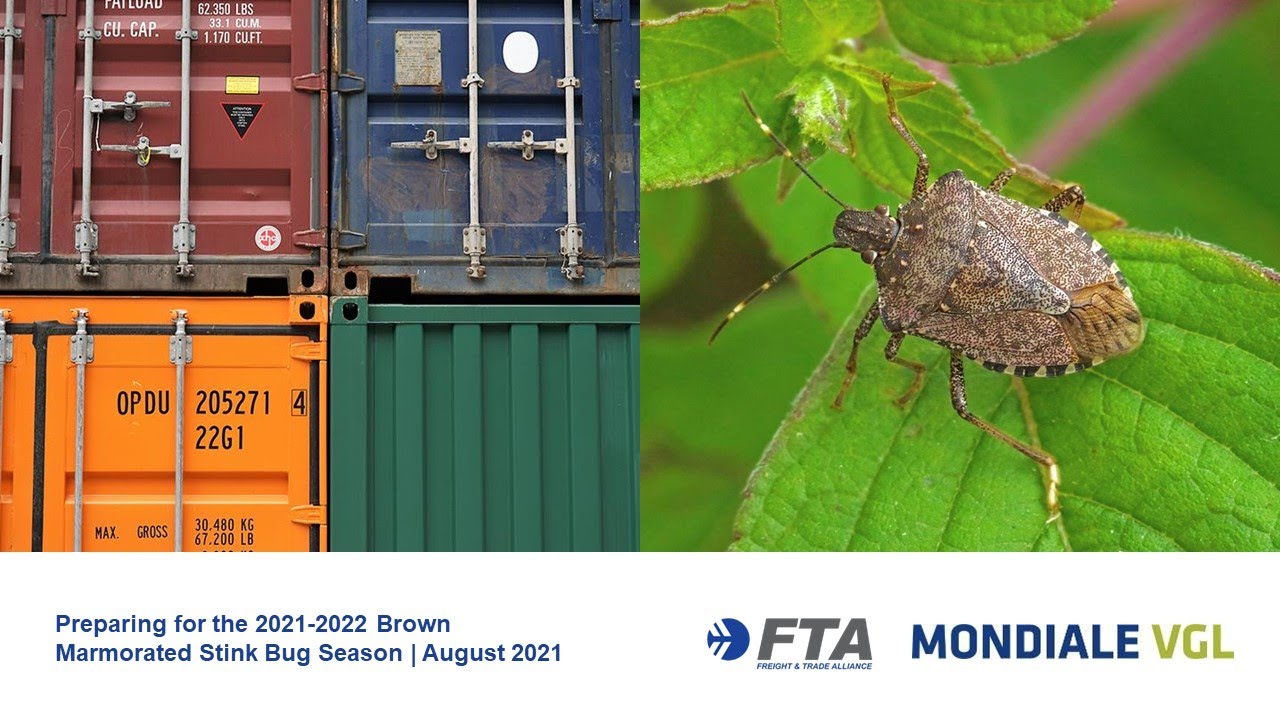 Preparing for the 2021-2022 BMSB Season - YouTube