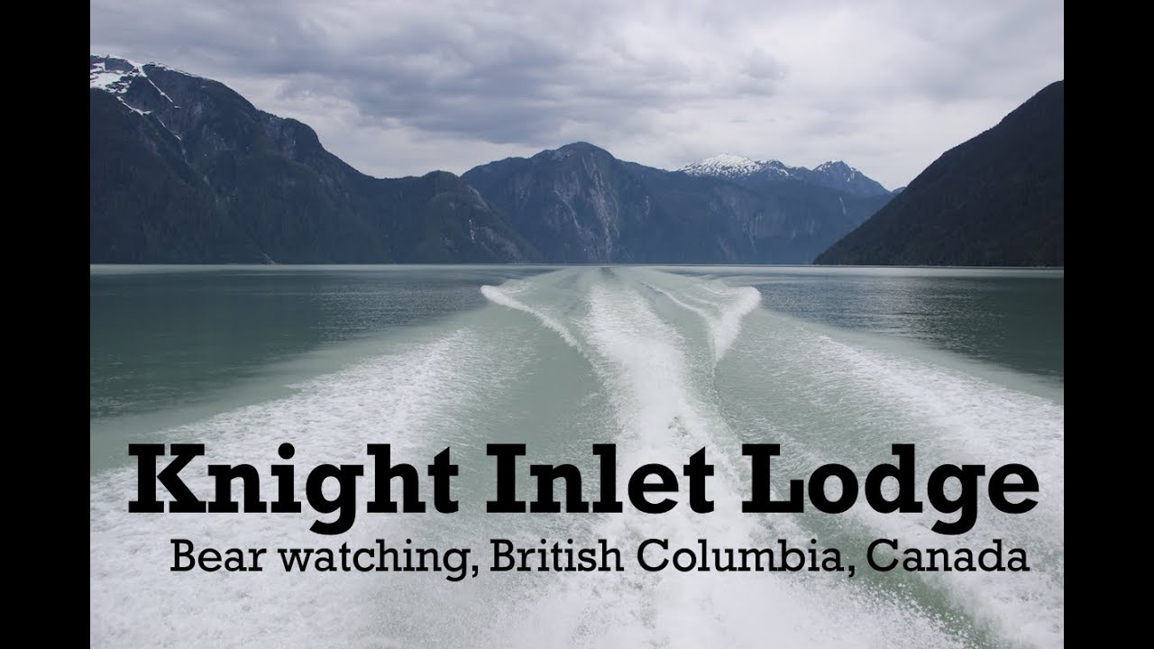 Knight Inlet Lodge Bear Viewing Vlog (British Columbia, Canada) - YouTube
