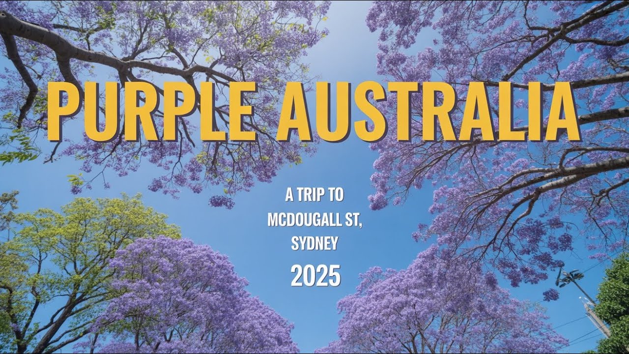 Purple Australia - YouTube