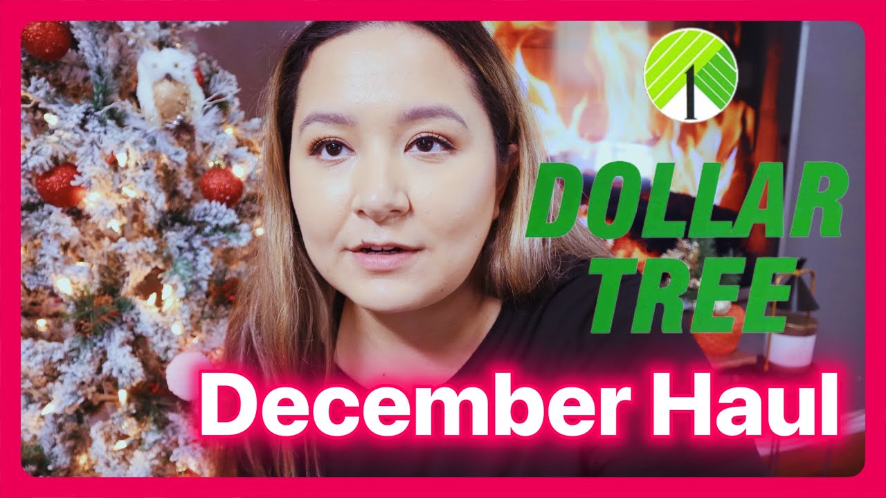 Dollar Tree Redemption December Haul (Headphones, Electronics & More ...