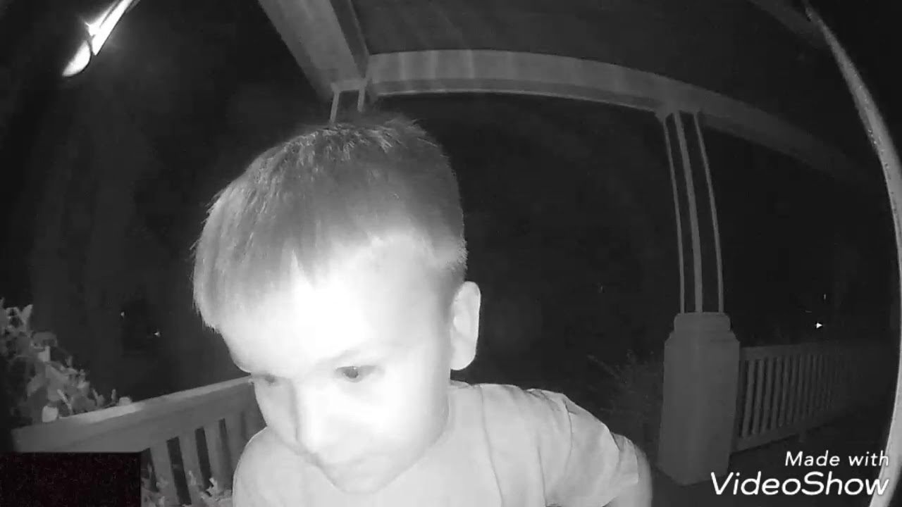 Kid scared to death by killer praying mantis! - YouTube