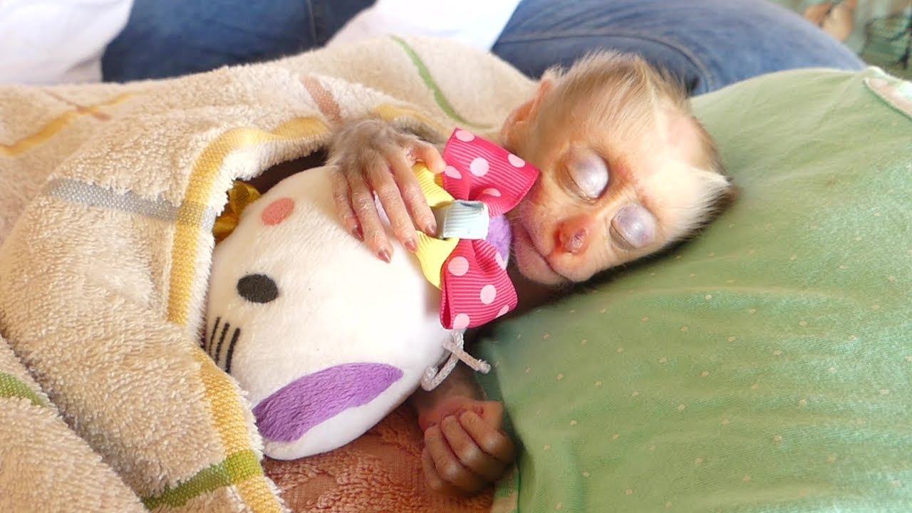 Orphan Newborn Baby Sleeping Very Peaceful After Mom Comfort - YouTube