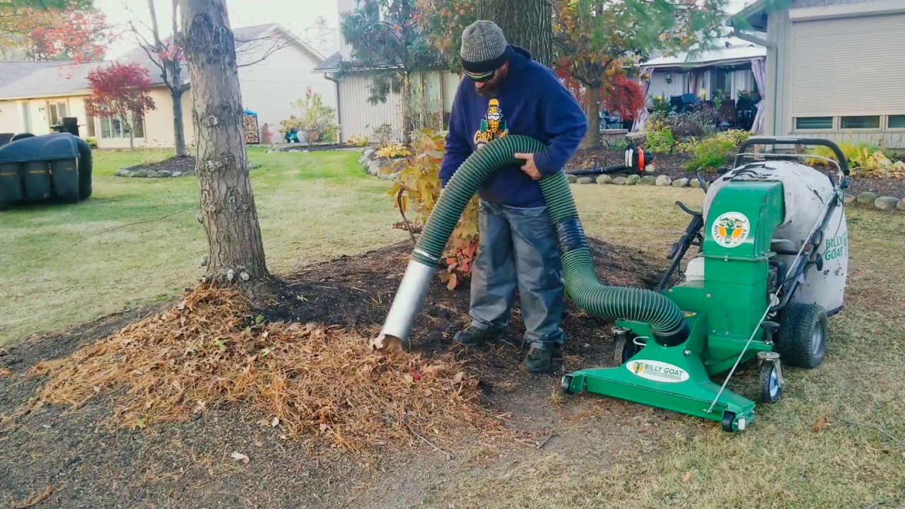Leaf cleanup 11/5/19 - YouTube
