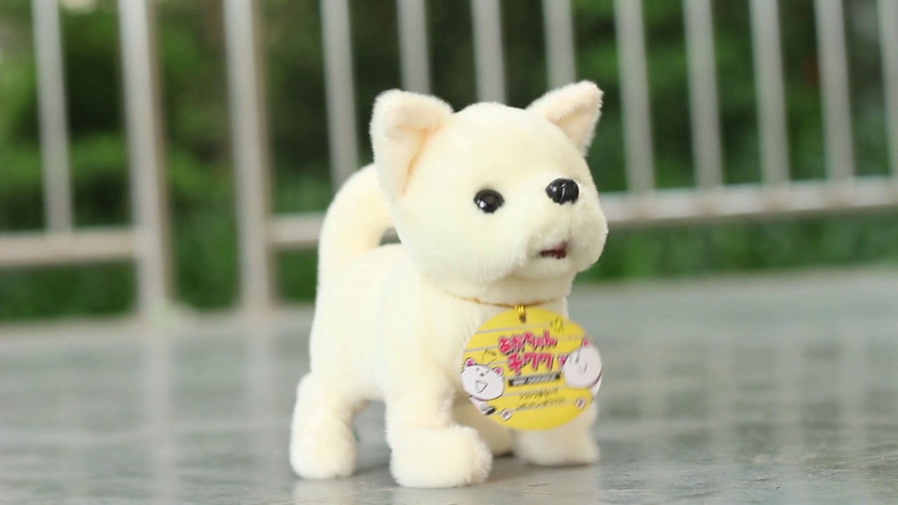 IWAYA : Baby Chihuahua 3114-3 - YouTube