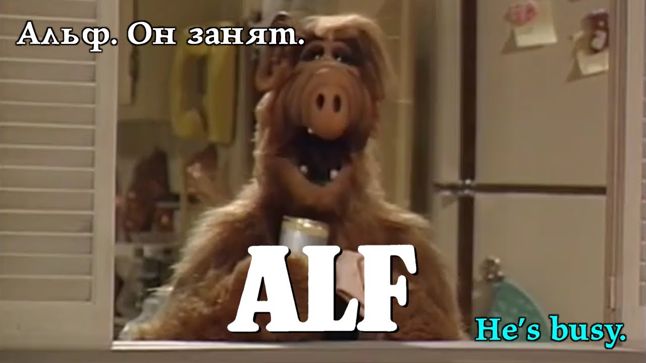 Альф. Він зайнятий. Alf. He's busy. Альф. Он занят. #alf - YouTube