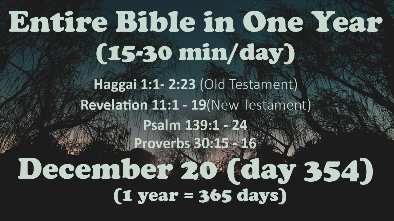 December 20 - Entire Bible in One Year (~15 min/day audio) - YouTube