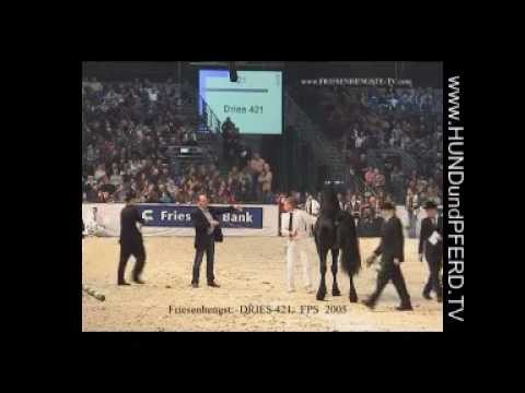 DRIES 421 Friesen KFPS Stallion Google Exclusive - YouTube