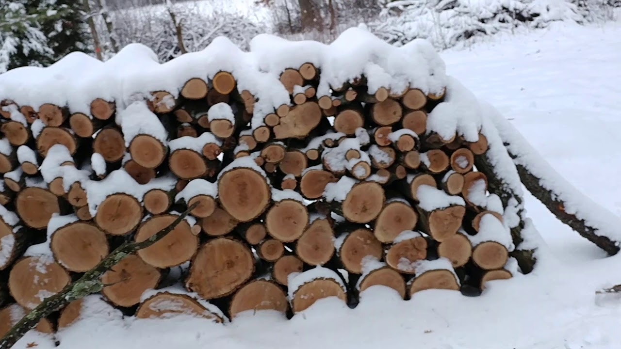 1/2/20 Dropping a tree today - YouTube