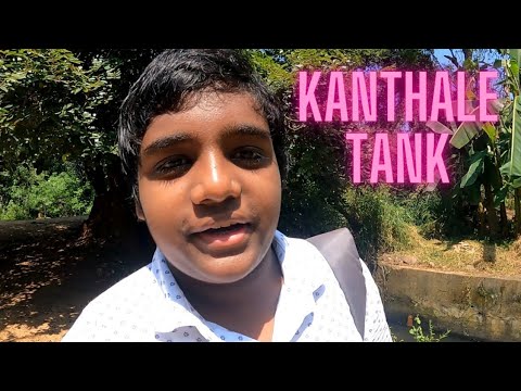 Bathing in Kanthale Tank 🏊‍♂️ | කන්තලේ වැවේ නමුත..?? - YouTube