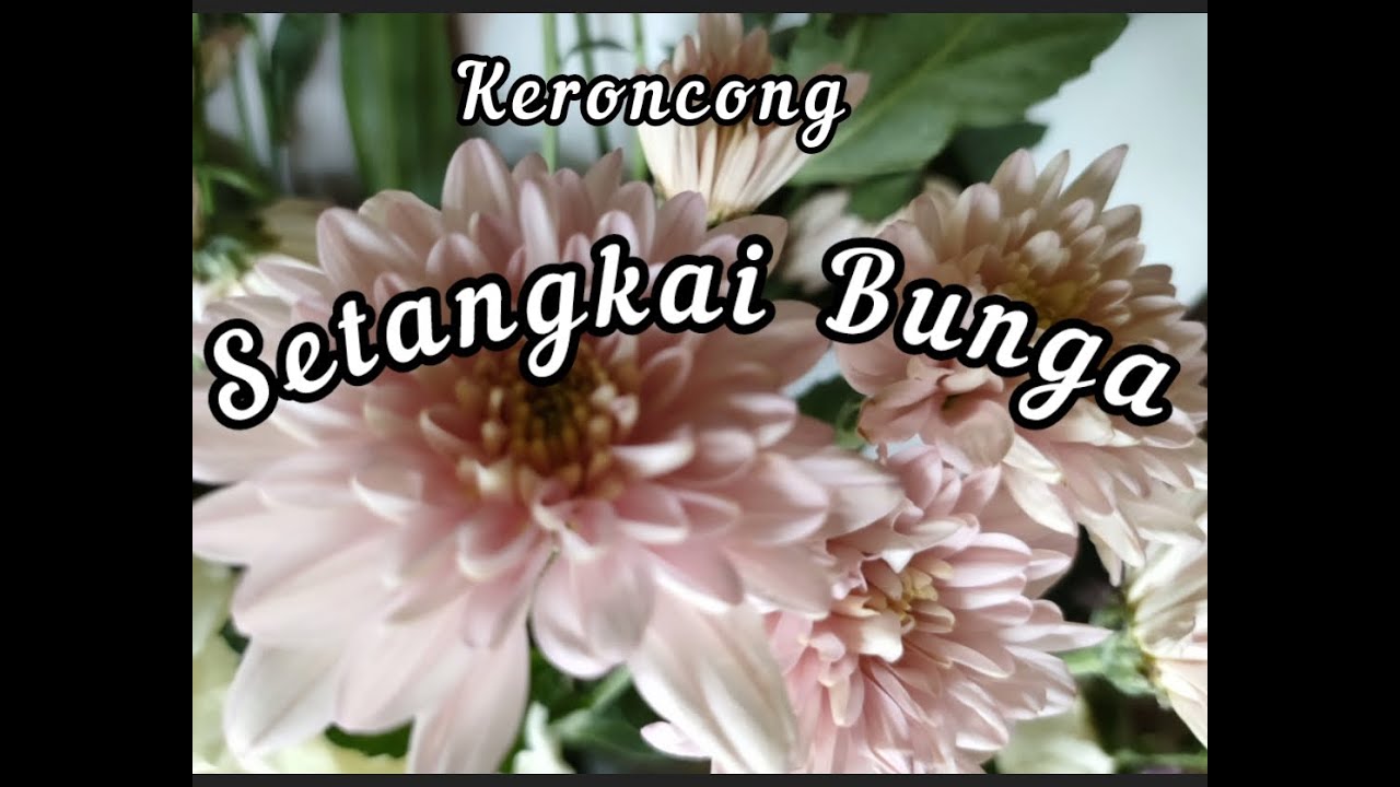 Keroncong Setangkai Bunga Mawar - nenek Maspiani cover - YouTube
