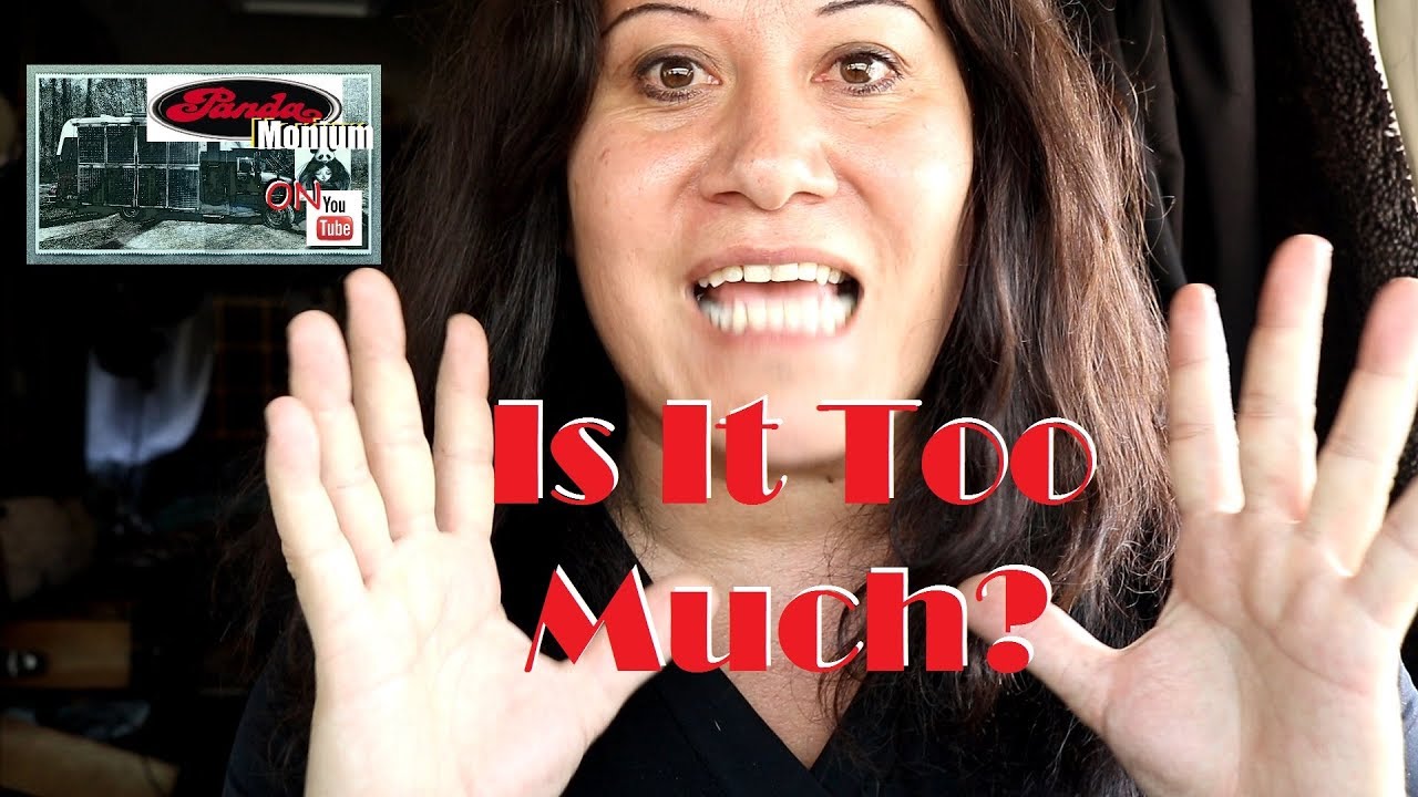 Do You Need To Experience Everthing All At Once - YouTube