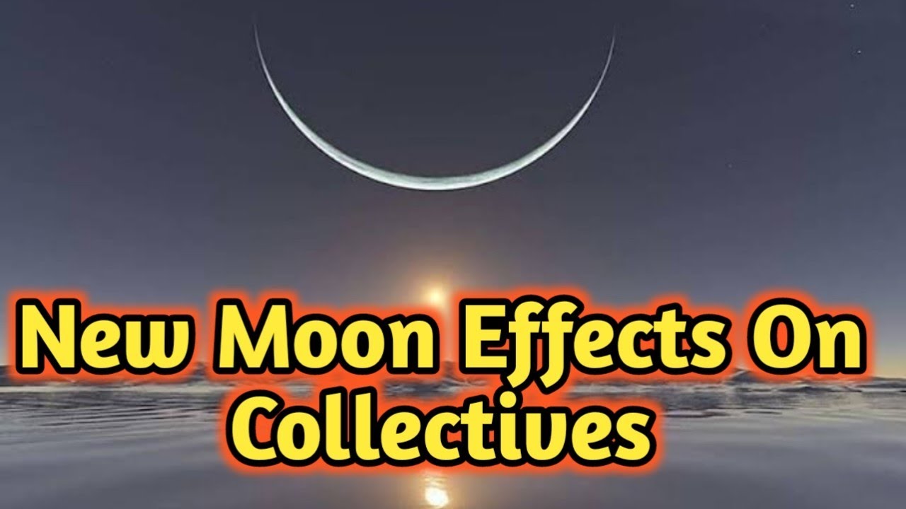 New Moon 🌙 Effects On Collectives 💚Current Feelings Next Action All ...