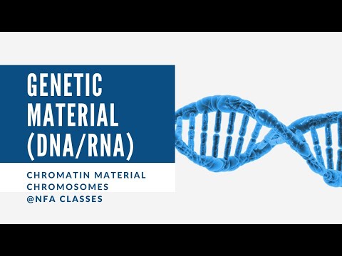 What is the genetic material of a living organism? - YouTube