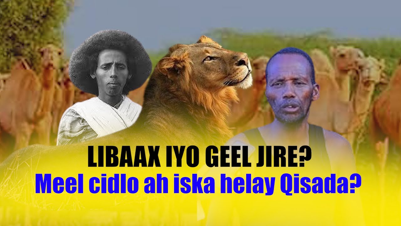 Xog Geel Jire Libaax soo Weeraray maxaa kala qabsaday? Qiso Duurka ka ...