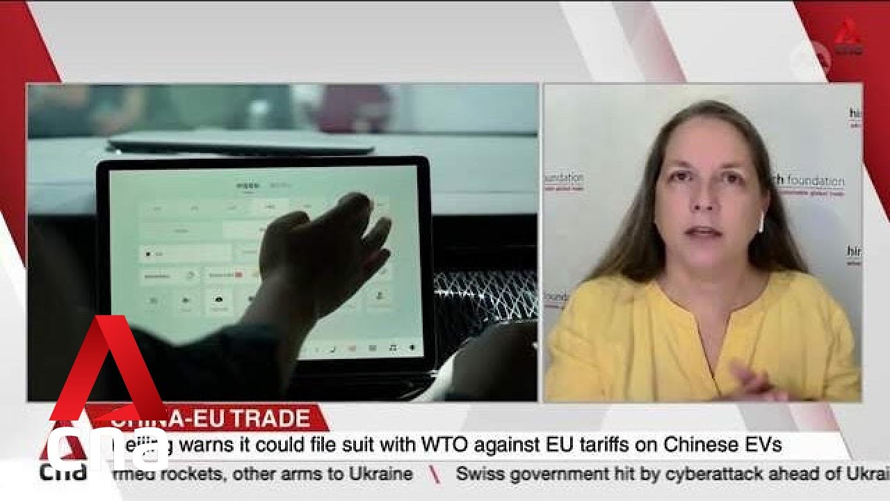 Deborah Elms on EU-China trade dispute on tariffs - YouTube