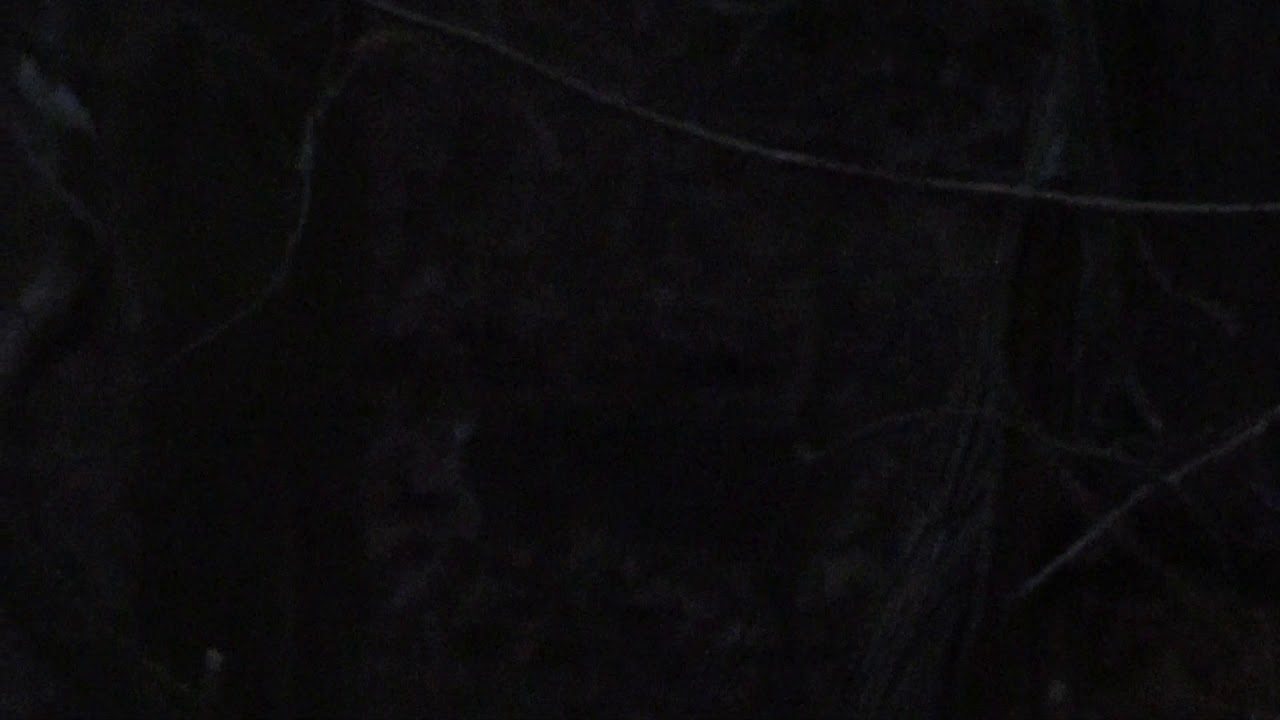 Deer Down with a Clean Pass Through!!! WATCH IT DROP!!! Part 4 Doubled ...