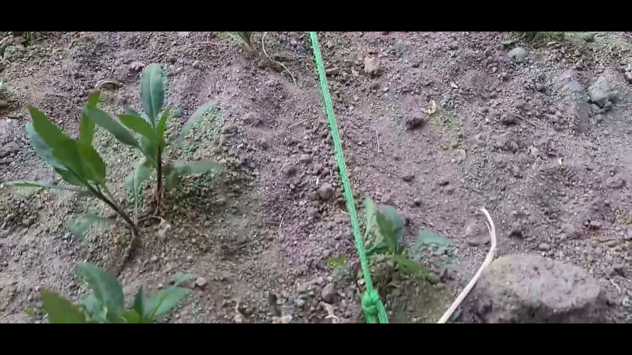 carpa vango tempest pro 300, una excelente opción para los amantes del ...