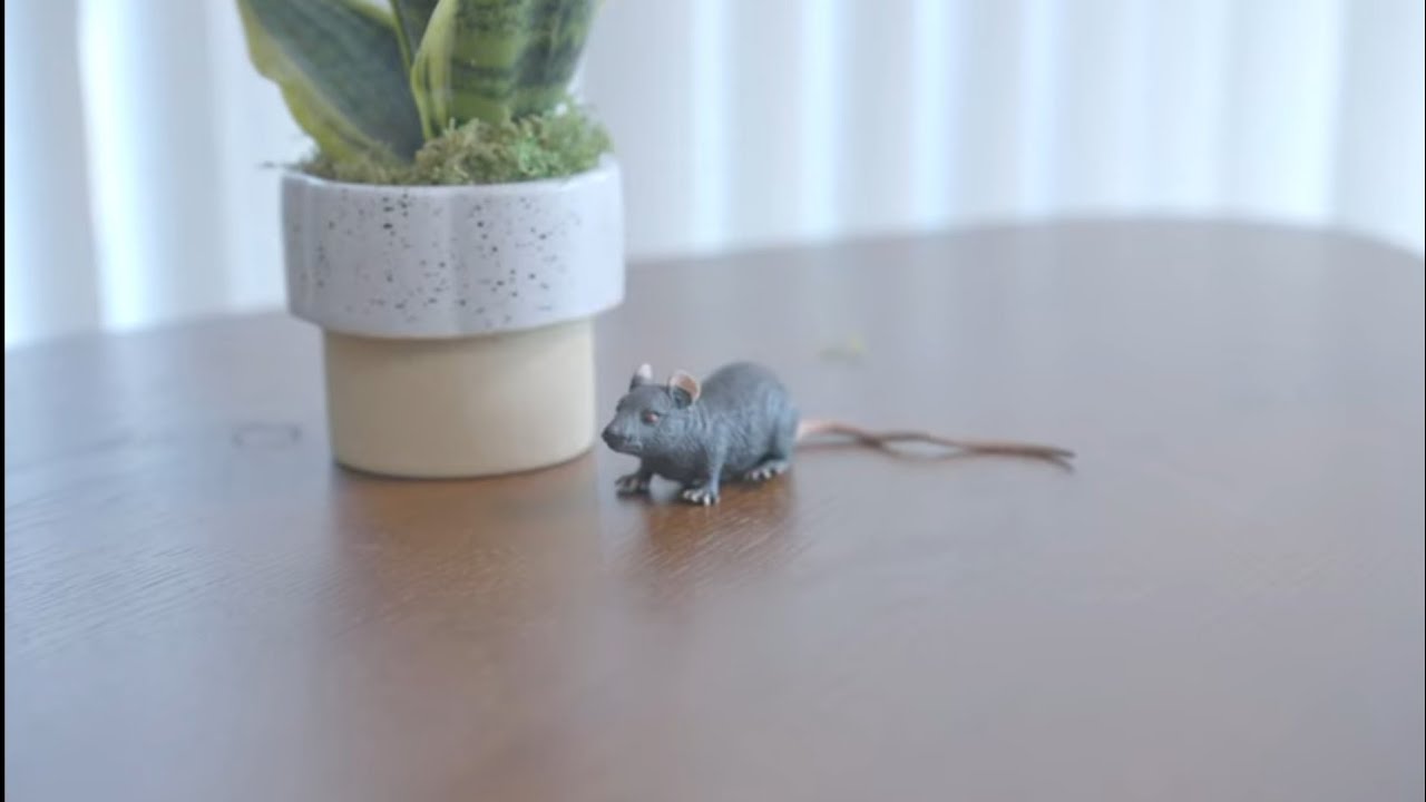 Google Rat - YouTube